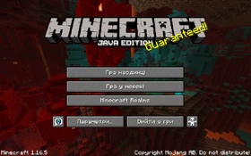 1.16.5 (Java Edition) – Minecraft Wiki