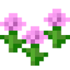 粉红色花簇 - Minecraft Wiki，最详细的我的世界百科