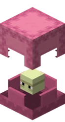 Shulker | MinecraftAllMobs Wiki | Fandom