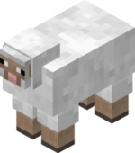 Sheep | MinecraftAllMobs Wiki | Fandom