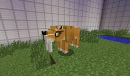 Smilodon | Minecraft-archaeology Wiki | Fandom