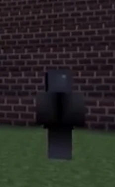 Player541 (The Lost Player) | Minecraft CreepyPasta Wiki | Fandom