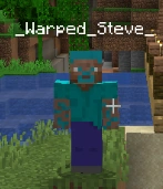 Warped Steve | Майнкрафт Крипипаста вики | Fandom