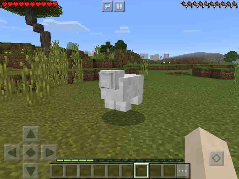 The Grey Fox | Minecraft CreepyPasta Wiki | Fandom