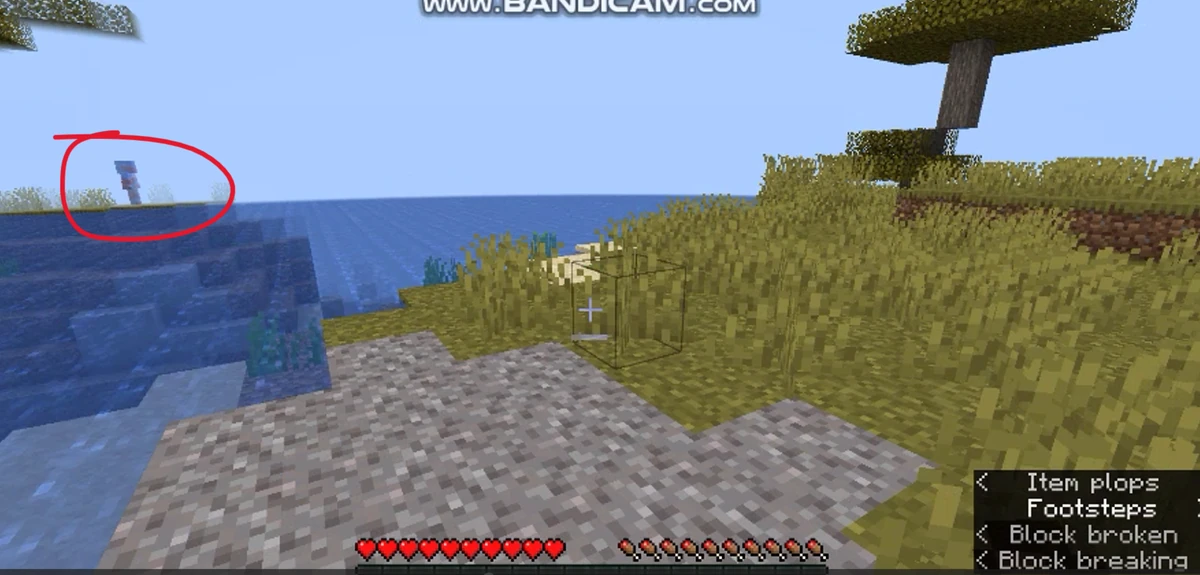 "Blue Hood" | Minecraft CreepyPasta Wiki | Fandom