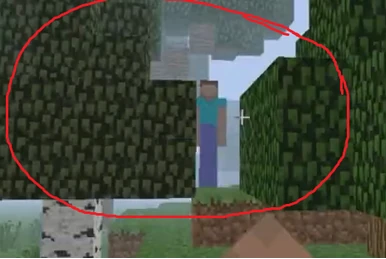 First Herobrine Sighting