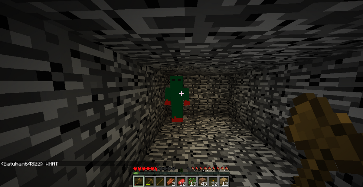 Entity9999 | Minecraft CreepyPasta Wiki | Fandom