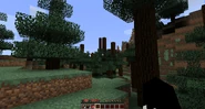 Minecraft @303 | Minecraft CreepyPasta Wiki | Fandom