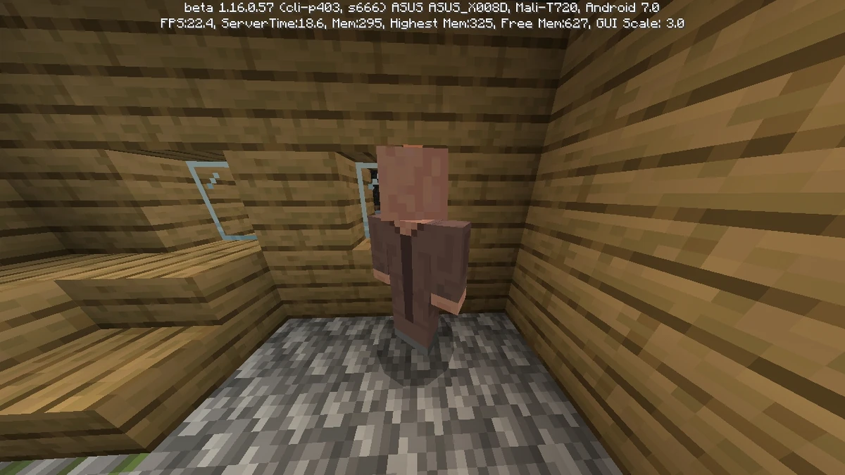 Minecraft Villager Face