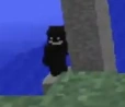 Bob | Minecraft CreepyPasta Wiki | Fandom