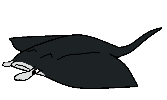 Manta Ray | Minecraft Fanfictions Wiki | Fandom