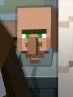 Blue villager | Minecraft Fanon Wiki | Fandom