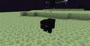 Ender Pig | Minecraft Fanon Wiki | Fandom