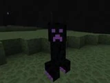Category:Creepers | Minecraft Fanon Wiki | Fandom