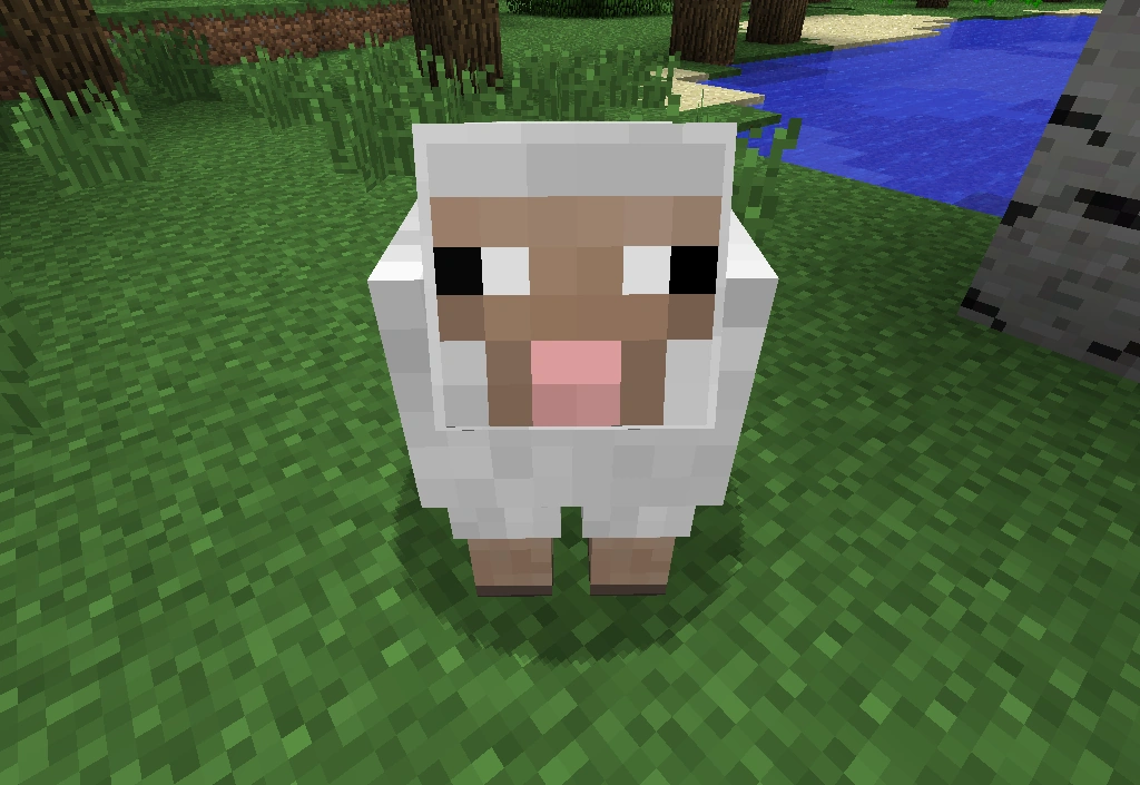 Sheep | Minecraftia Wiki | Fandom