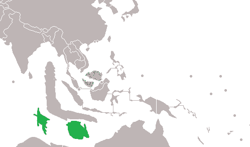 Karito Jarkin | Minecraftians Wiki | Fandom