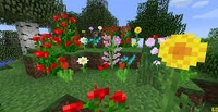 Flower Forest | Minecraft Network | Fandom