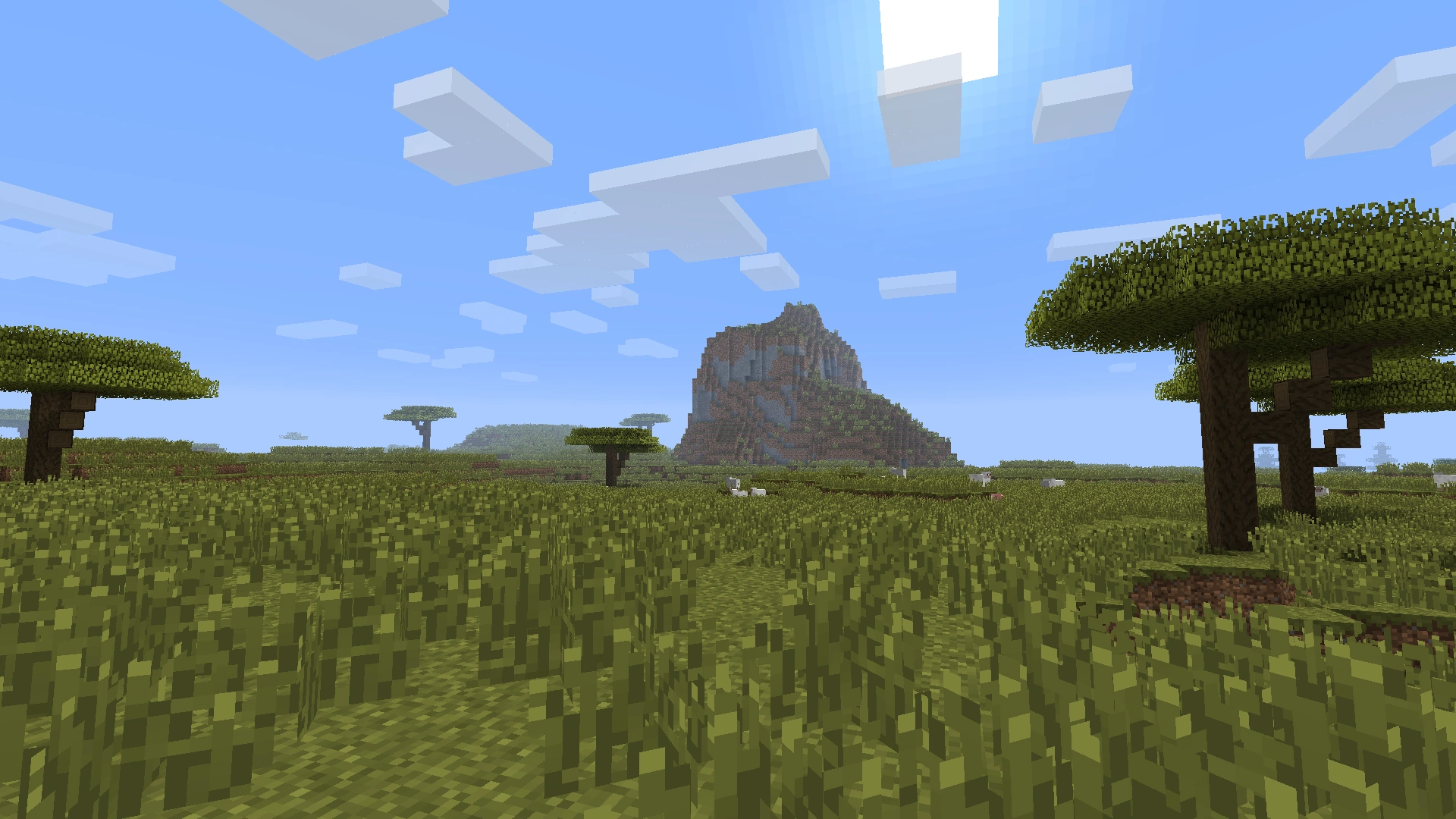 Savannah | Minecraft Network | Fandom