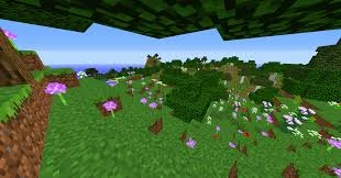 Flower Forest | Minecraft Network | Fandom