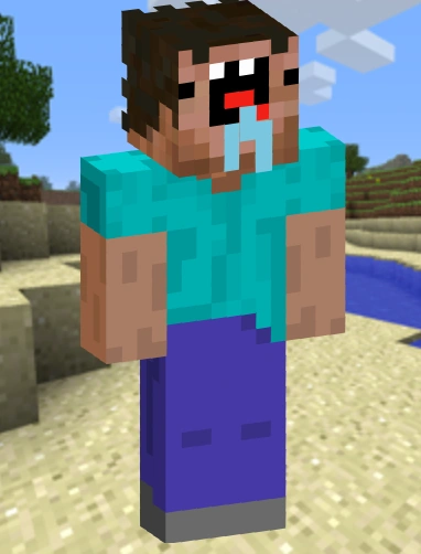 Explodingtnt Derp Skin