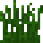 Tall Grass | Minecraft Bedrock Wiki | Fandom