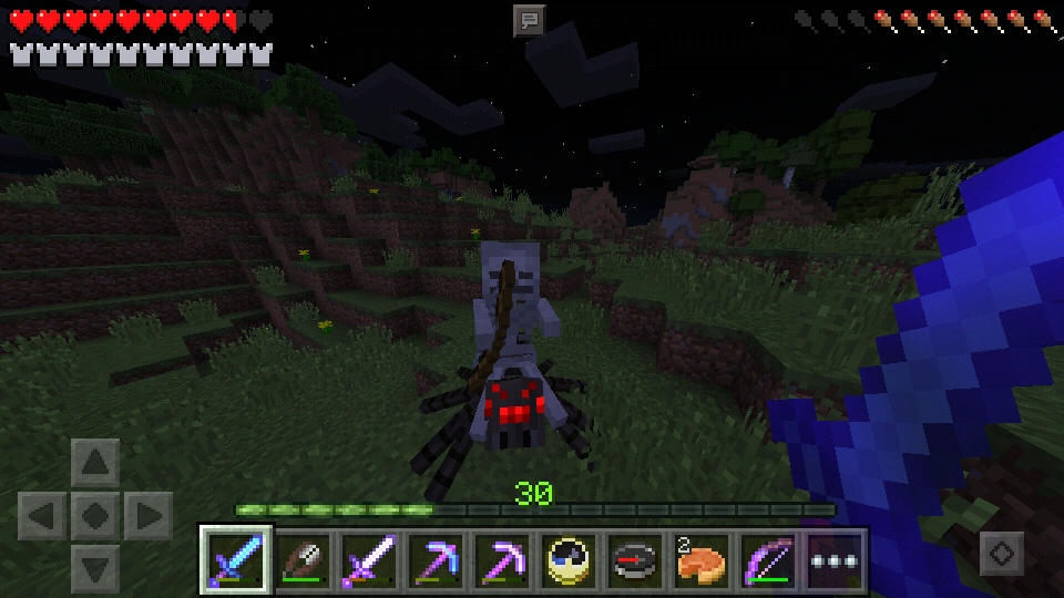 Jockey | Minecraft Bedrock Wiki | Fandom