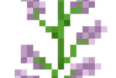 Oxeye Daisy Minecraft Pc Wiki Fandom Powered By Wikia