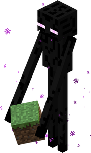Enderman | Minecraft Bedrock Wiki | Fandom