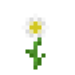 Flower/Gallery | Minecraft Bedrock Wiki | Fandom