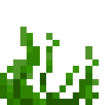 Seagrass | Minecraft Bedrock Wiki | Fandom