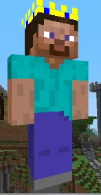 King Steve | Minecraft Skins Wiki | Fandom