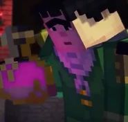 Elixir | Minecraft Story Mode Wiki | Fandom