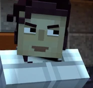 Xara | Minecraft Story Mode Fanon Wiki | Fandom