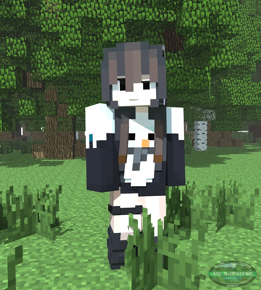 Bayani Minecraft Builds