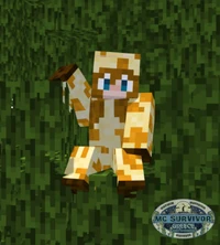 SXC | Minecraft Survivor Wikia | Fandom
