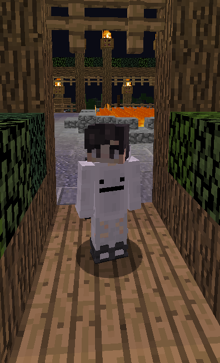 Lonely | Minecraft Survivor! Wiki | Fandom
