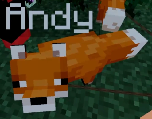 Andy | MineKidd Wiki | Fandom