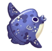 Sunfish | Mineko's Night Market Wiki | Fandom