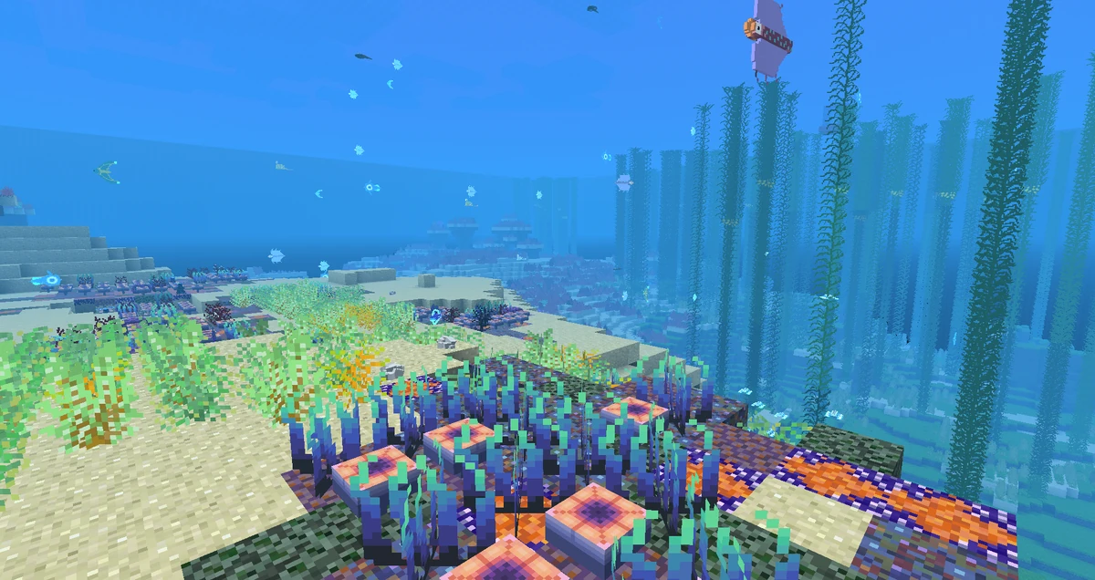 Safe Shallows | Minenautica Wikia | Fandom