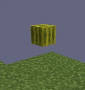 Gadgets | Mineplex Wiki | Fandom