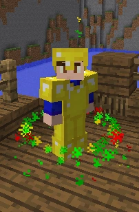 TNT Hunter (Block Hunt) | Mineplex Wiki | Fandom