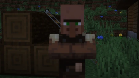 Logan the Lumberjack | MineQuack Wiki | Fandom