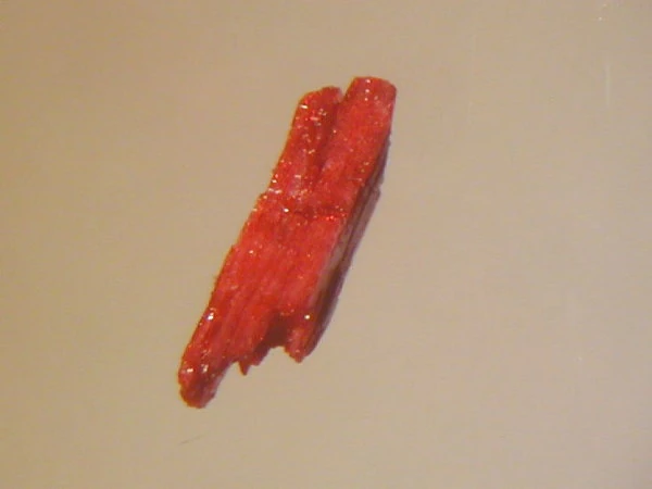 Abelsonite | Mineralogy Wiki | Fandom