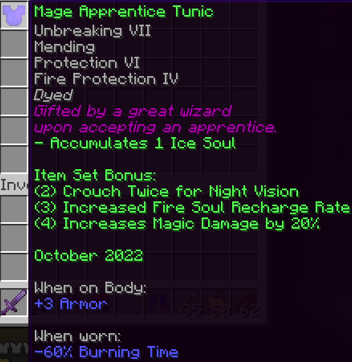 Mage Apprentice Tunic | Minewind Wiki | Fandom