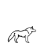 Wolf | Mini Wolf Wiki | Fandom