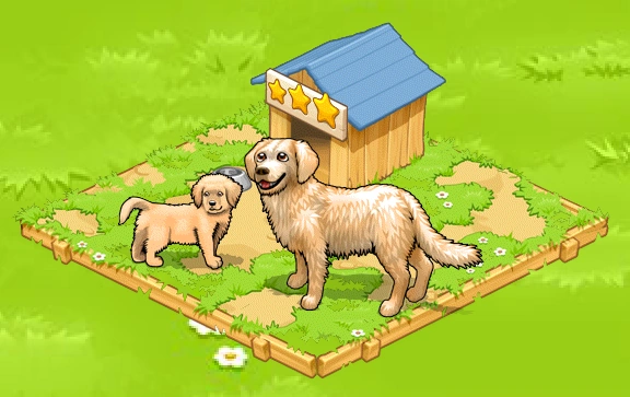 Golden Retriever | Mini Pets Wiki | Fandom