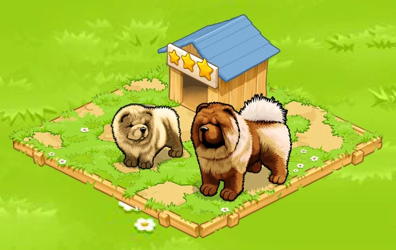 Chow Chow | Mini Pets Wiki | Fandom