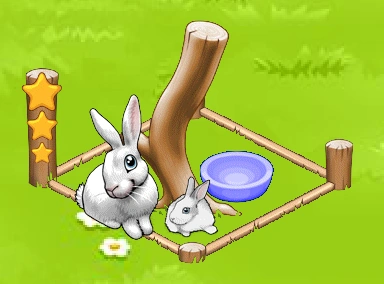 White Rabbit | Mini Pets Wiki | Fandom