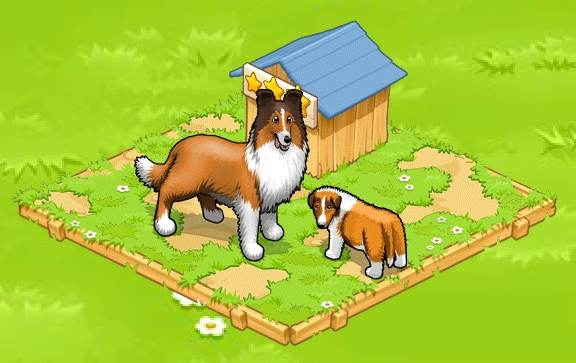 Collie | Mini Pets Wiki | Fandom