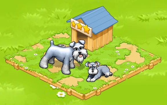 Schnauzer | Mini Pets Wiki | Fandom